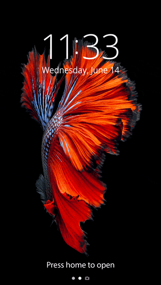 Pulsara | Improve STEMI, Stroke and EMS Treatment Times