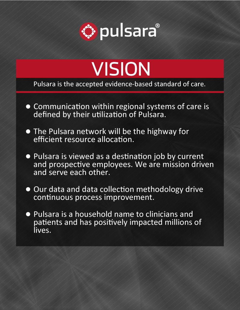 Who is Pulsara? Part 3 [Our Vision]