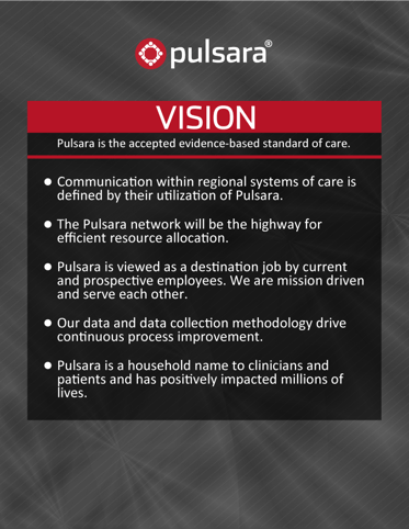 Who is Pulsara? Part 3 [Our Vision]